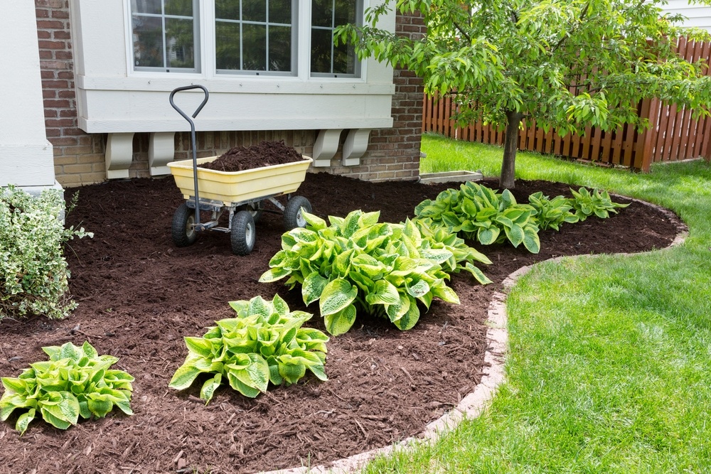 Why mulching works and how to do it - Lyonshall Nurseries and Garden ...